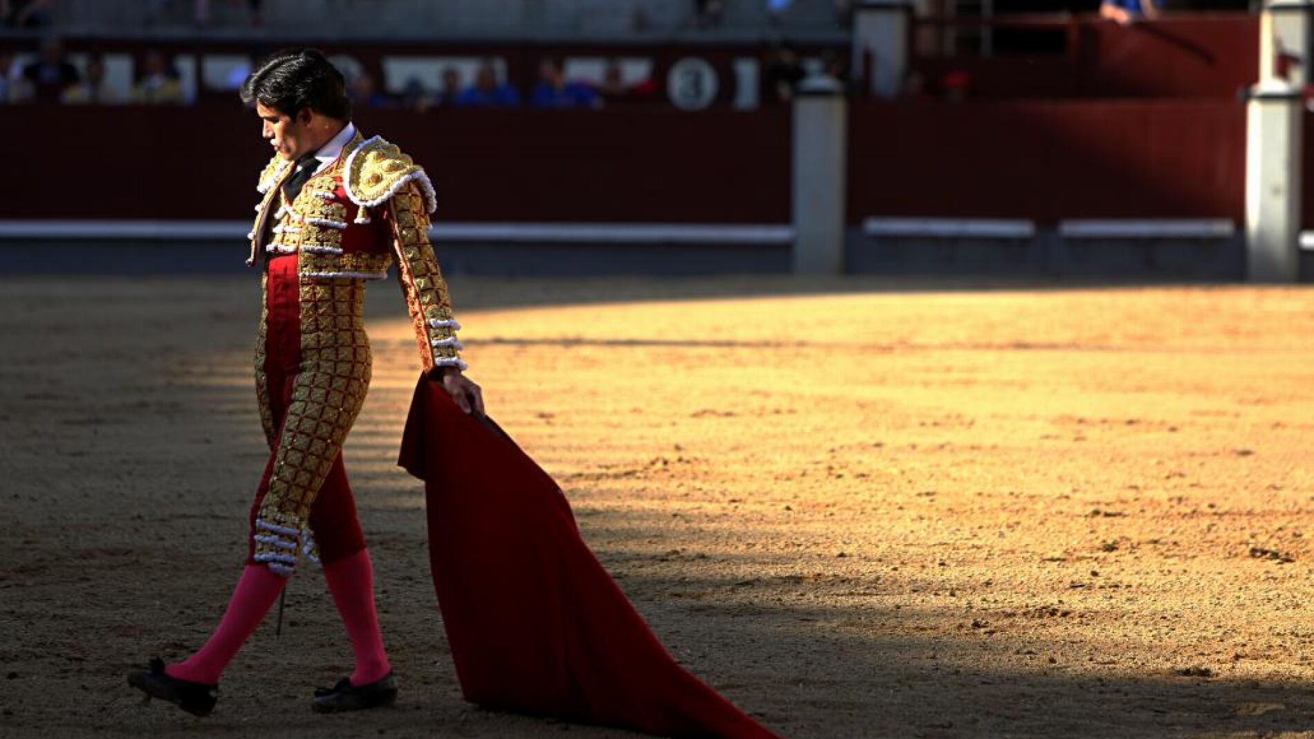 Garrido evoluciona favorablemente