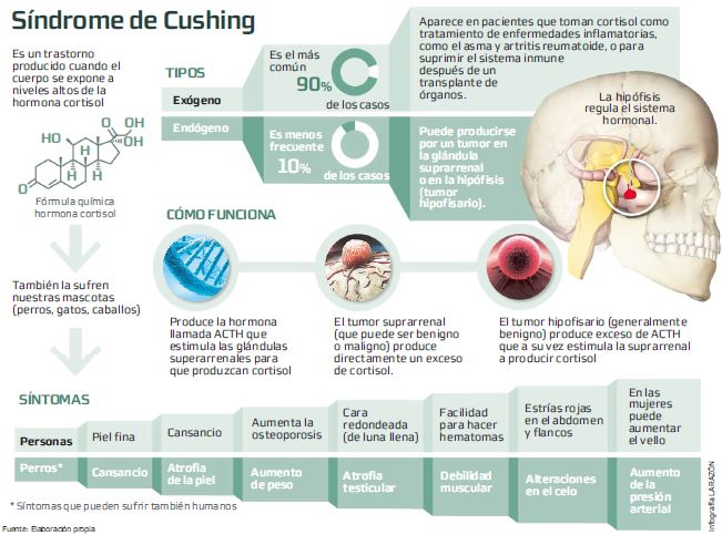 Enfermedad De Cushing