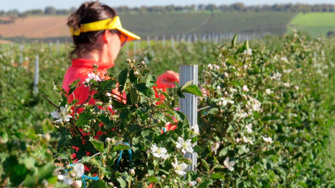 «Hay mucha gente formada que quiere volver a los pueblos»