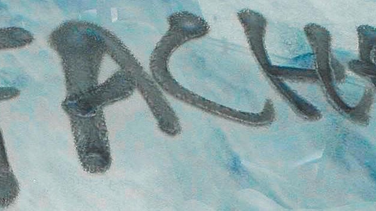 De dónde viene (y a dónde va) la palabra "facha"