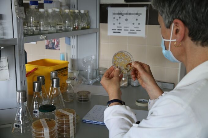 Mayka Sánchez: últimas noticias en La Razón