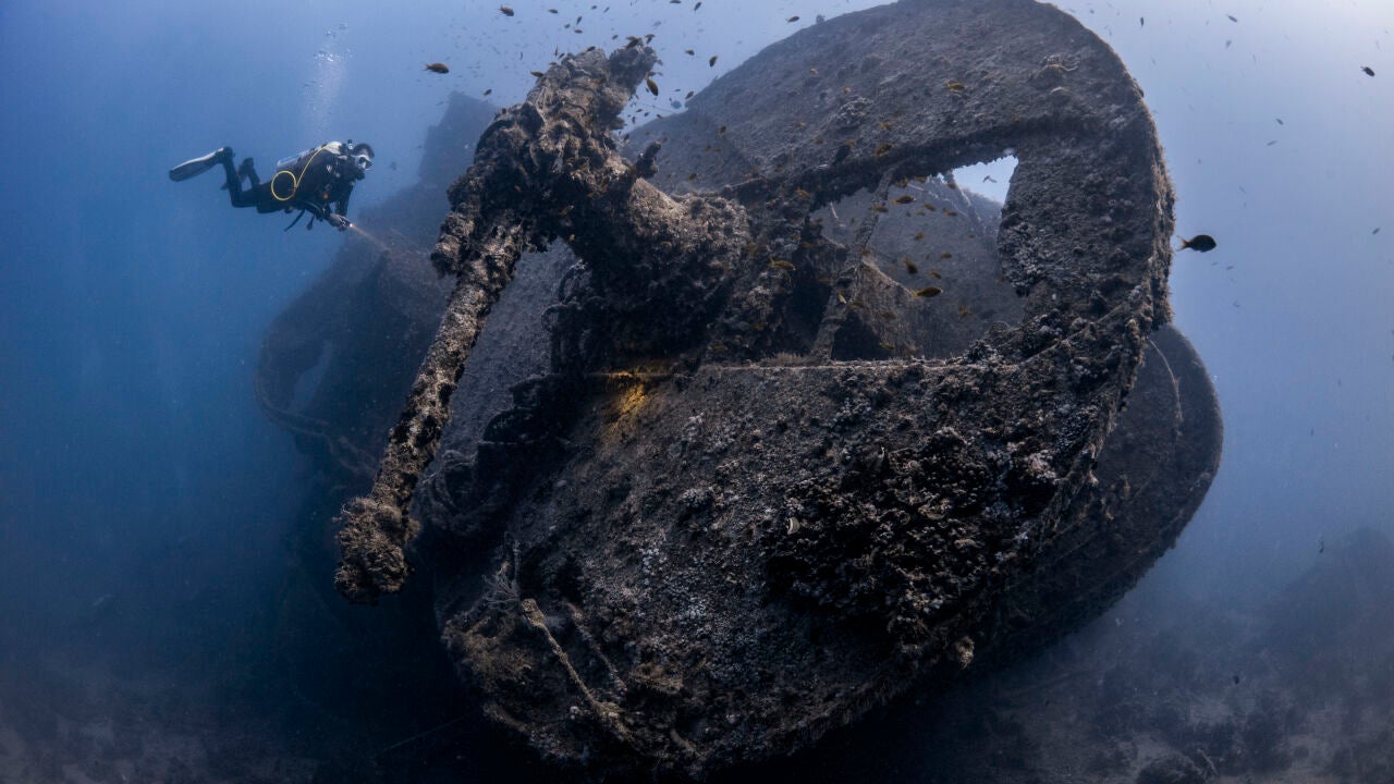 Mar Rojo: un viaje entre coral y acero