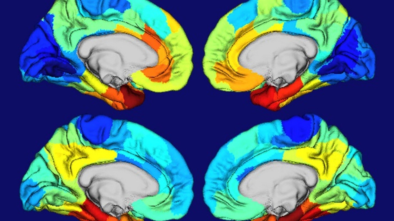 Desarrollan Un An lisis De Sangre Que Puede Diagnosticar El Alzh imer desarrollan-un-an-lisis-de-sangre-que-puede-diagnosticar-el-alzh-imer