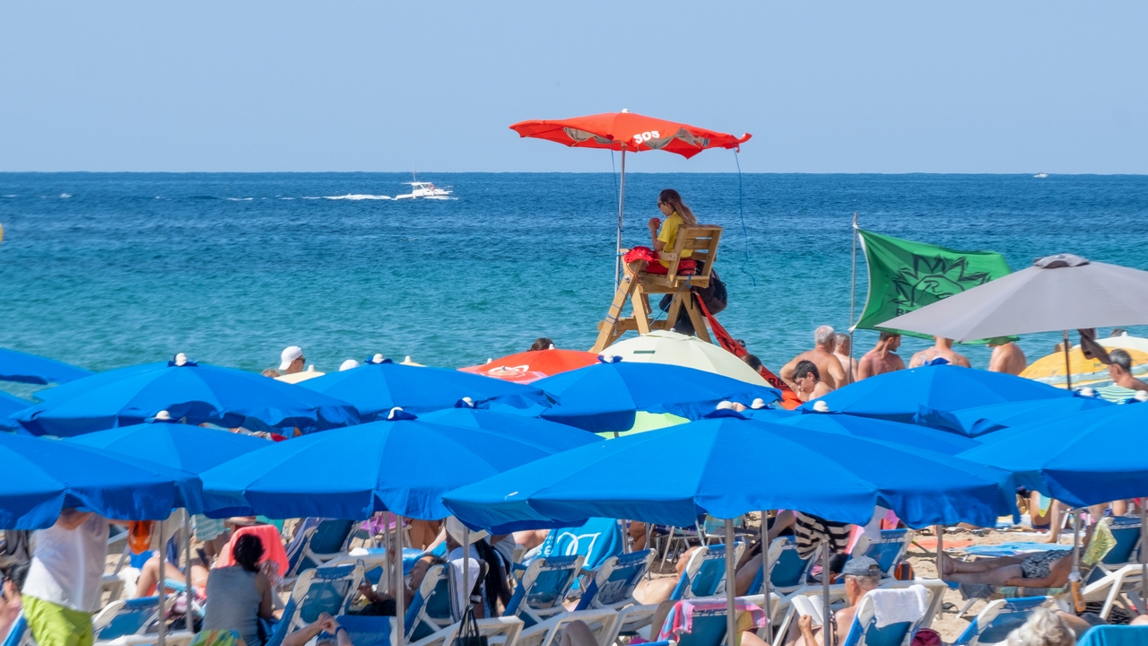 Everyone Is Much More Expensive We Have Taken Half The Vacation everyone-is-much-more-expensive-we-have-taken-half-the-vacation