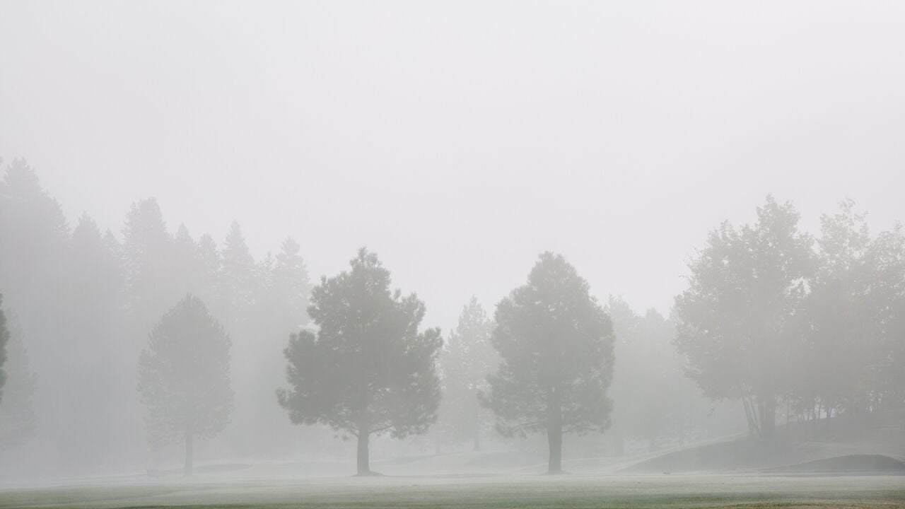 ¿Qué es la niebla y cuáles son sus tipos?