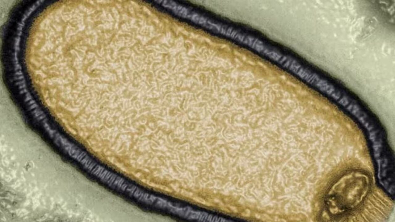 Los científicos alertan de un virus "zombi" con riesgo de pandemia: “Es ...