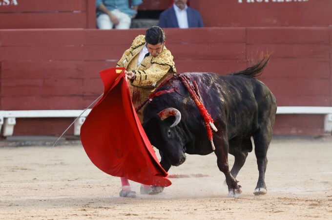 Toros y actualidad taurina en La Razón