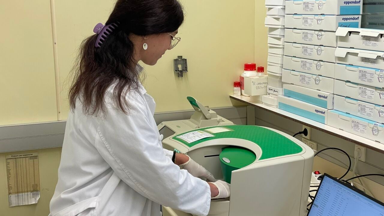 El 2007 se confirma como año determinante en relación al tamaño ...