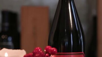 Tantum Ergo, o el arte de convertir el Cava en un vino de guarda