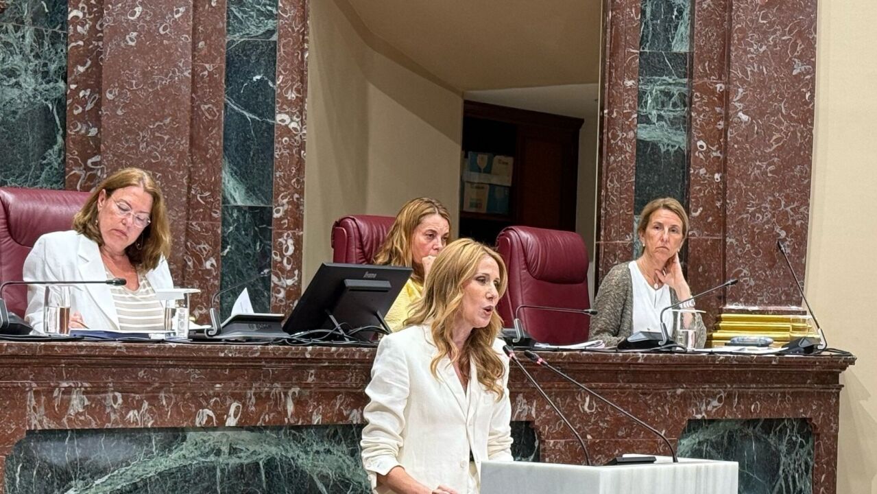 La Asamblea Regional convalida la nueva Ley de Simplificación ...