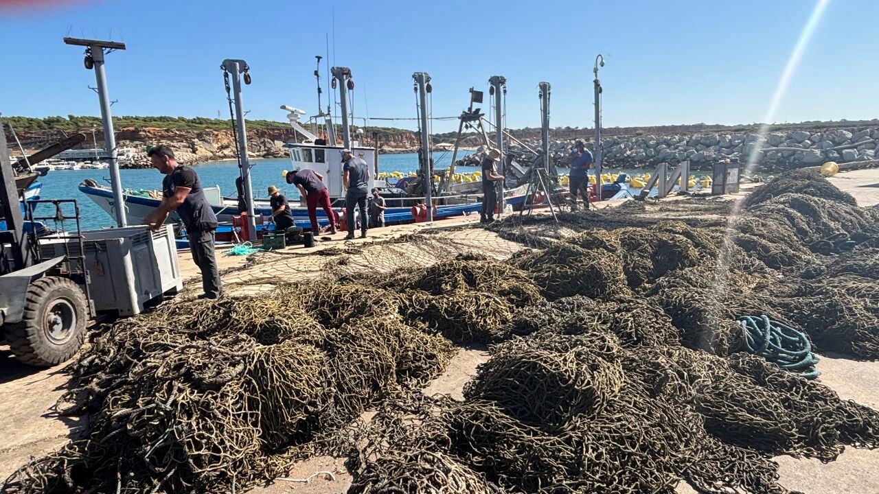 Alex marin y lesly marin xxx after a handful of nights of