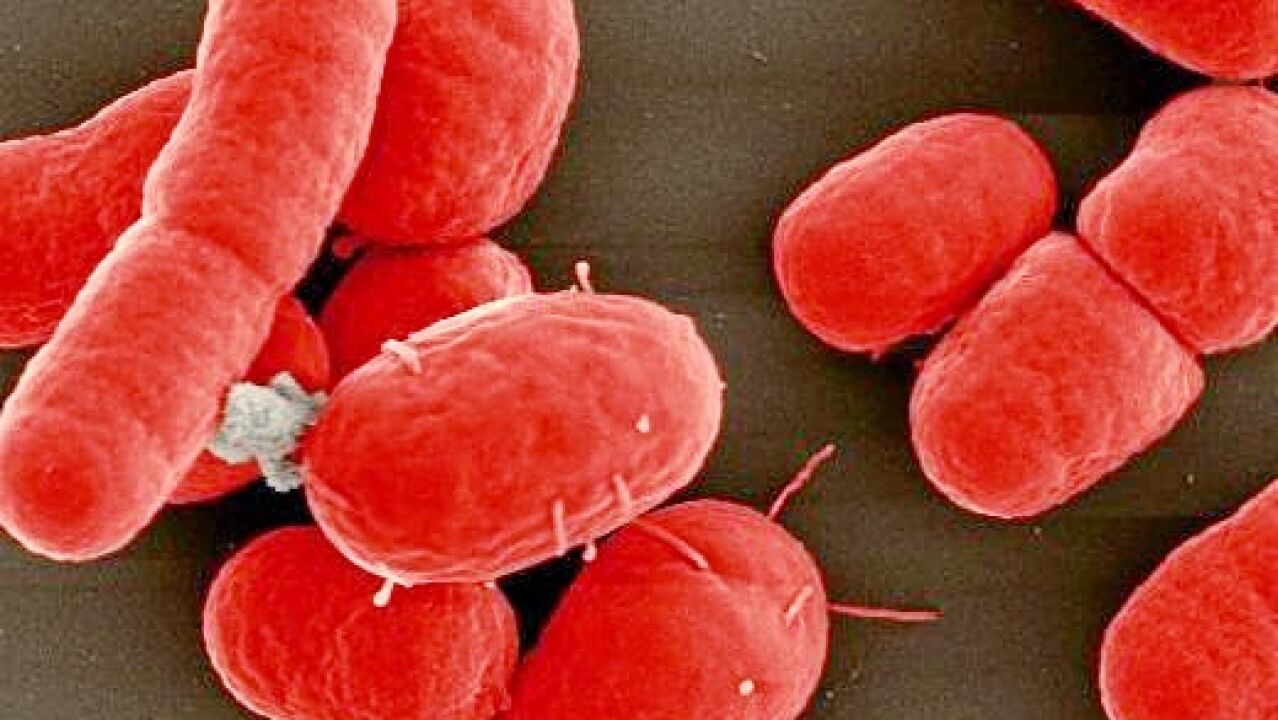 La amenaza de las superbacterias