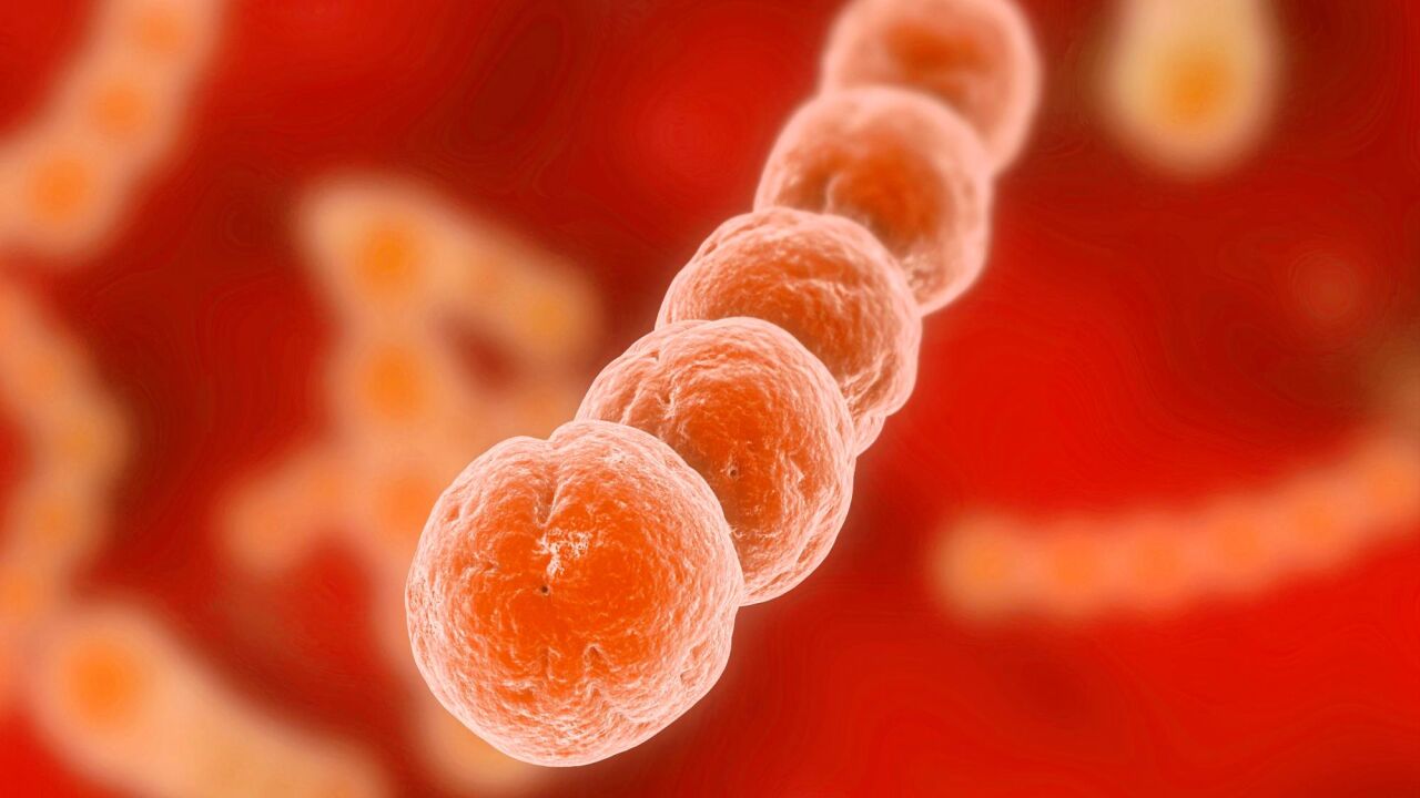 El camuflaje de las superbacterias para no ser detectadas