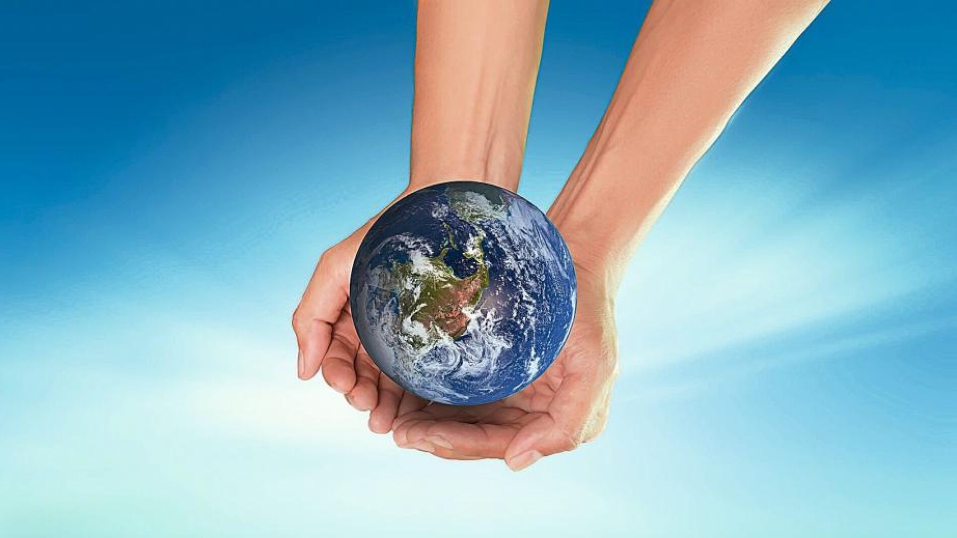 Un rincón donde crece lo verde