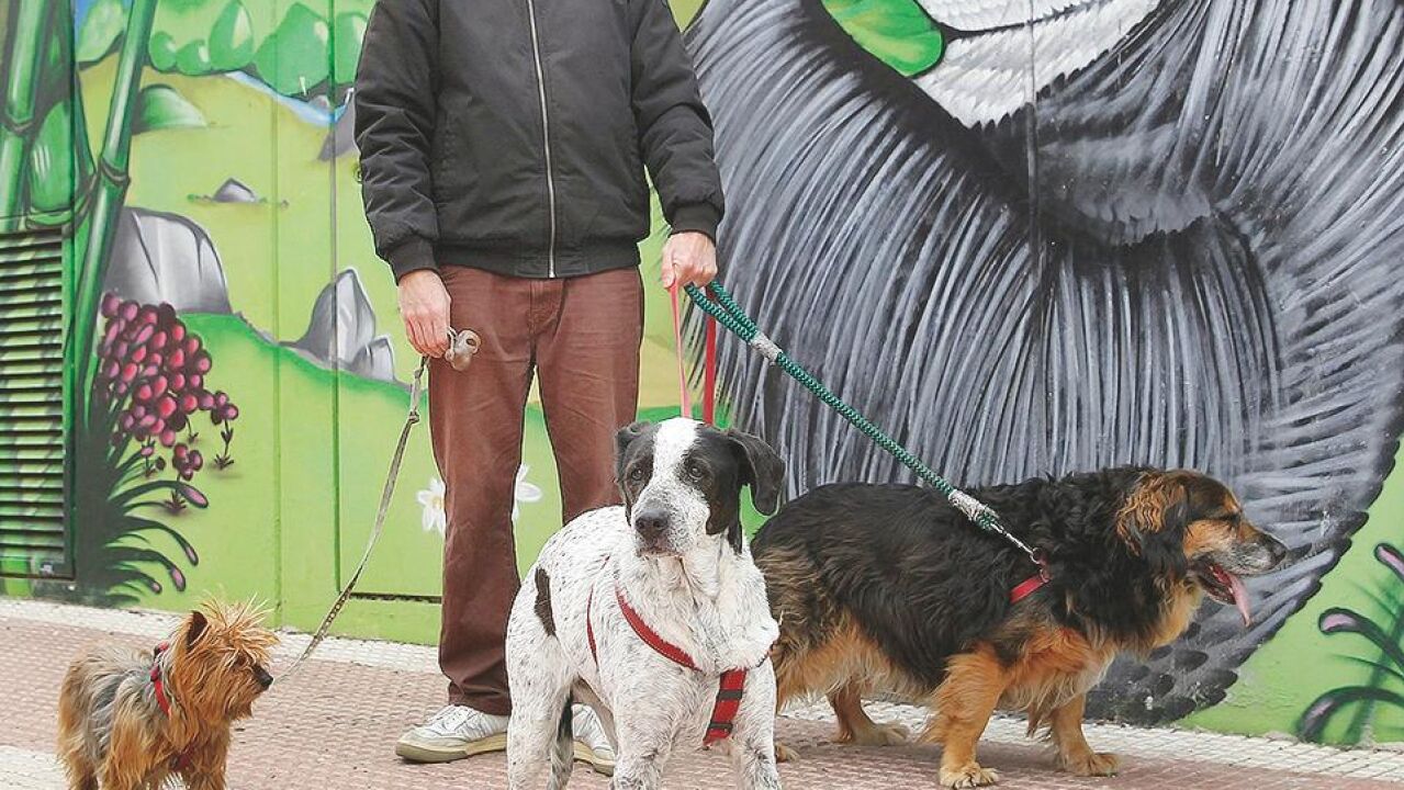 Daniel García Raso: "Cuando murió mi padre las perras se abalanzaban ...
