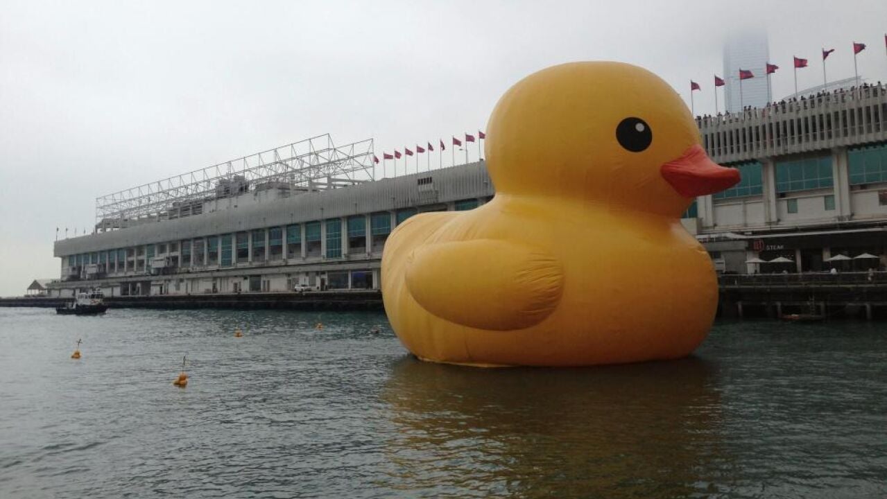 El pato gigante de Hofman llega a Pittsburgh
