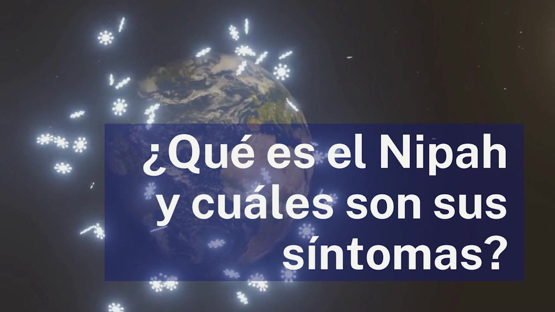 Virus Nipah: qué es, síntomas y cómo se transmite