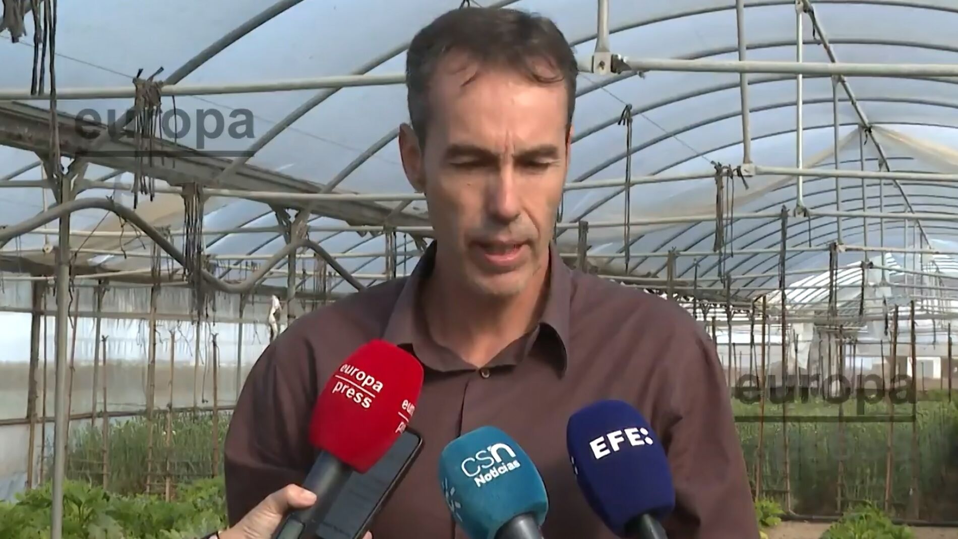 La sequía arruina 1.700 hectáreas de coliflor, brócoli, cebolla ...