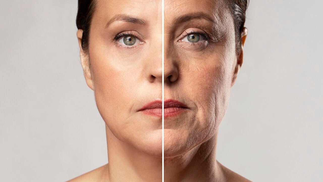 Una molécula alarga los telómeros y revierte múltiples signos del envejecimiento