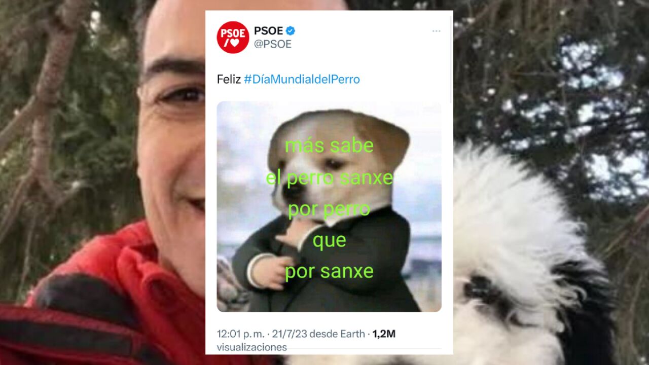 El PSOE felicita el Día Mundial del Perro: "Más sabe el perro sanxe por perro que por sanxe"