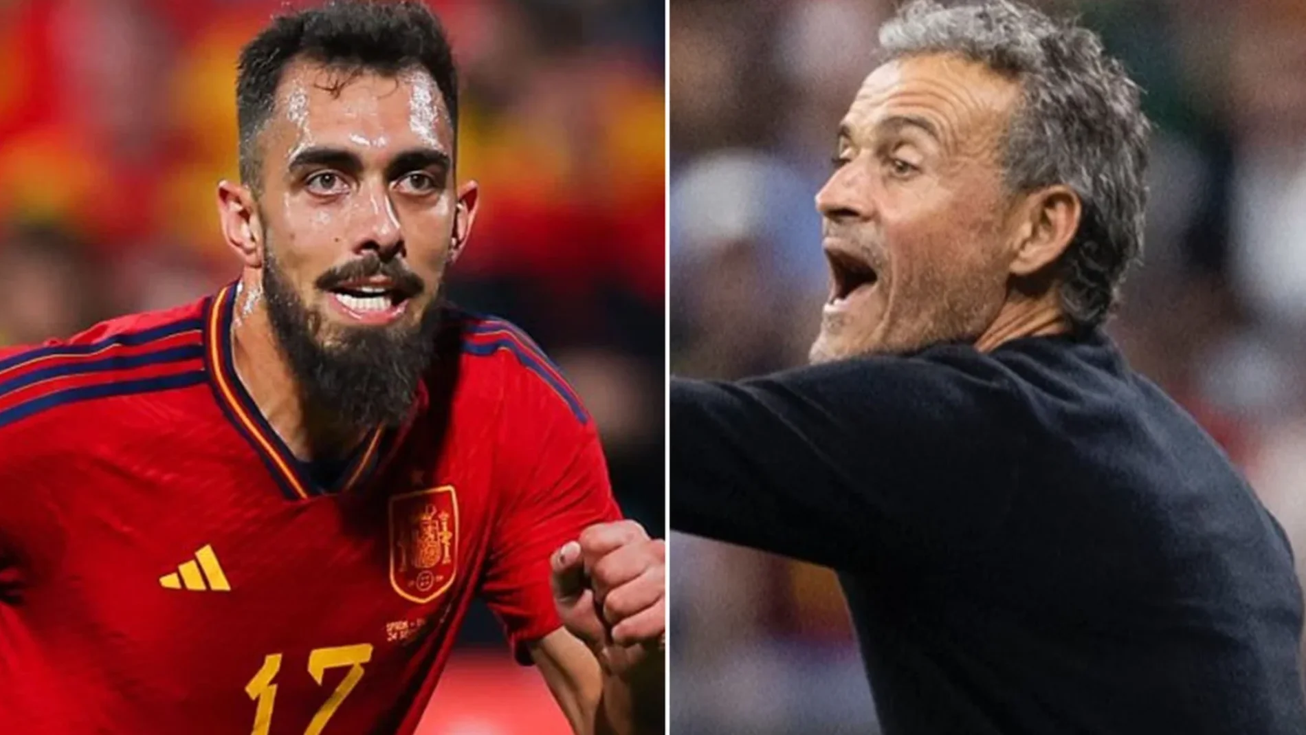 De La Renuncia A La Selección De Borja Iglesias Al Apoyo De Luis