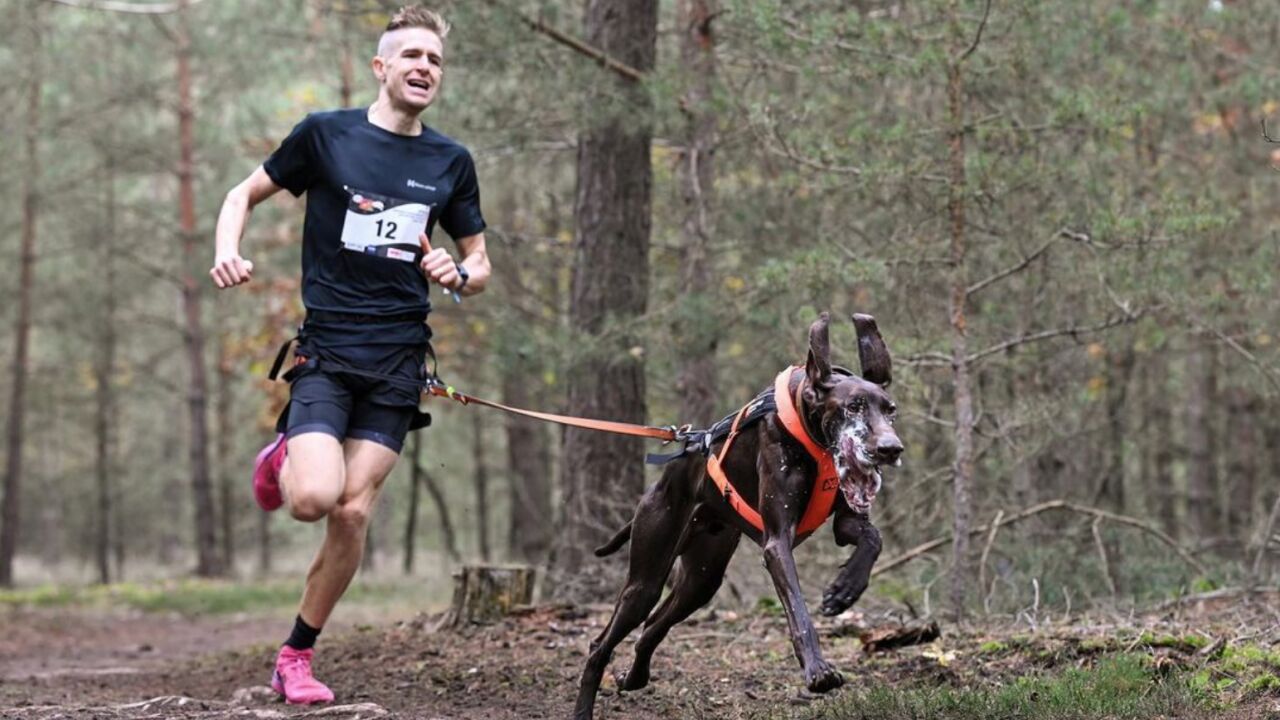 Ben Robinson, el corredor de canicross que ha batido el récord de los 5km