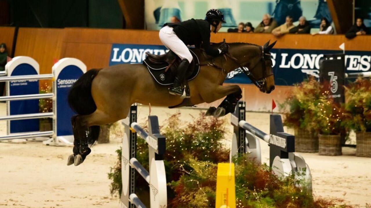 Todos quieren a "Roki"