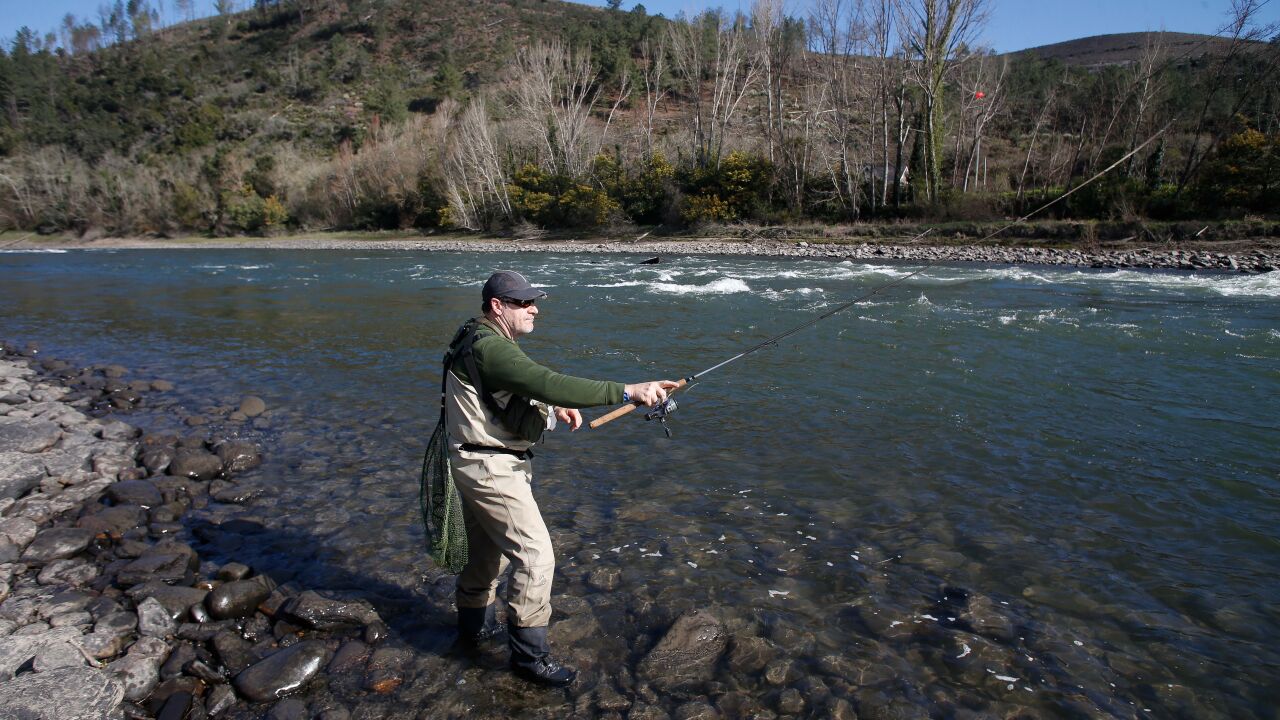 Galicia inaugura la temporada de pesca continental con más de 47.000 licencias en vigor